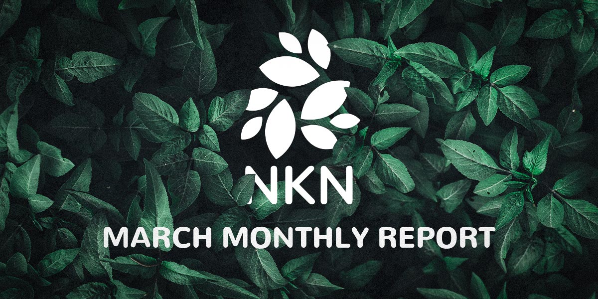 NKN Monthly Report: March 2023 | NKN
